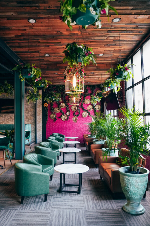 The Restaurant - Seek Restaurant